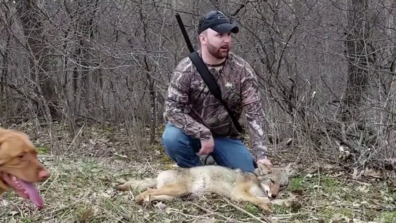 THE NEW MOJO SUPER CRITTER DECOY AND FOXPRO WILDFIRE - YouTube