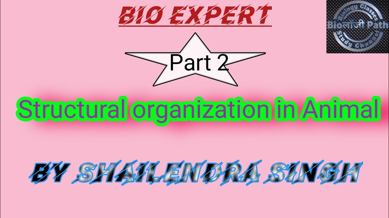 biology class 11 structural organization in Animal part 2|| biology 11 ...