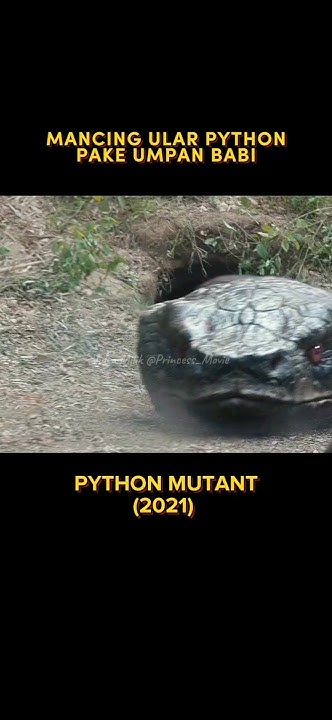 Python Mutant (2021) || Cuplikan seru film ||#short #python #film # ...