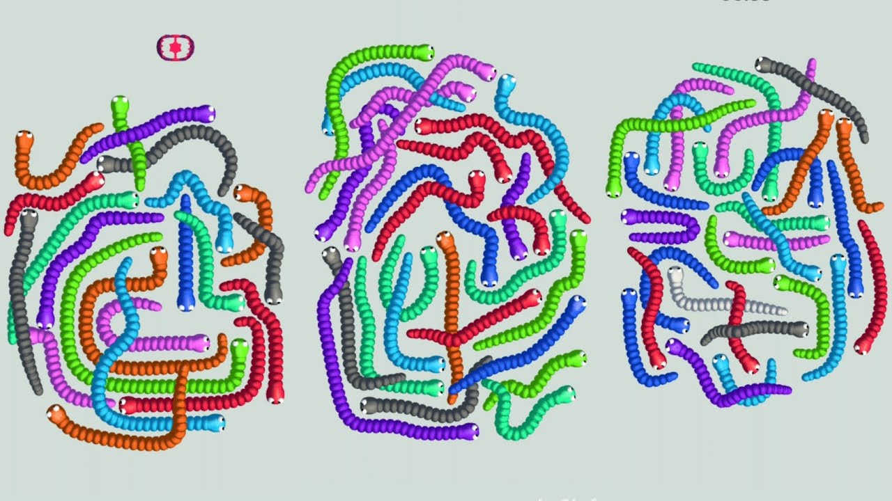 Tangled Snakes - Guide Snakes in the Right Way #game - YouTube