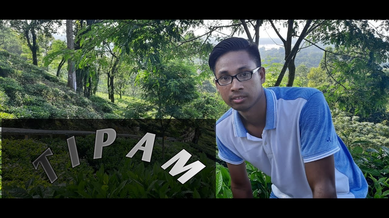 Tipam || Assam || Nahorkotia || তিপাম - YouTube