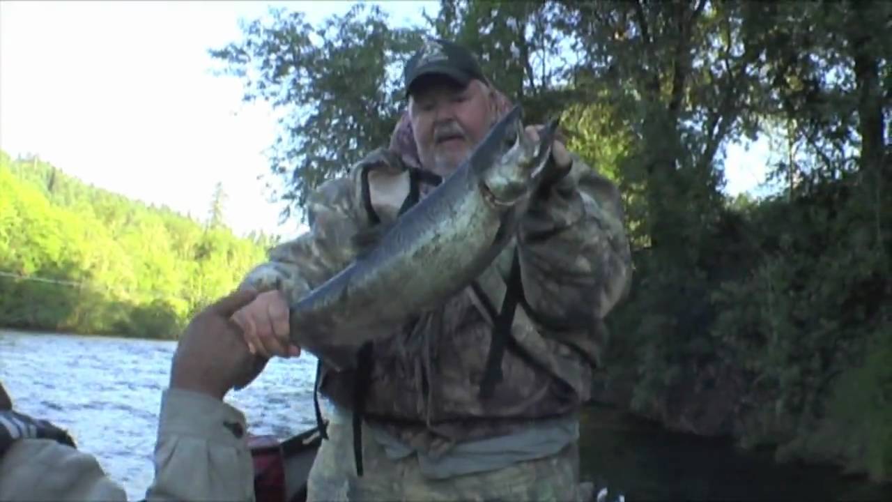 Upper Rogue Salmon Steelhead Jack Wild Action and Scenery - YouTube