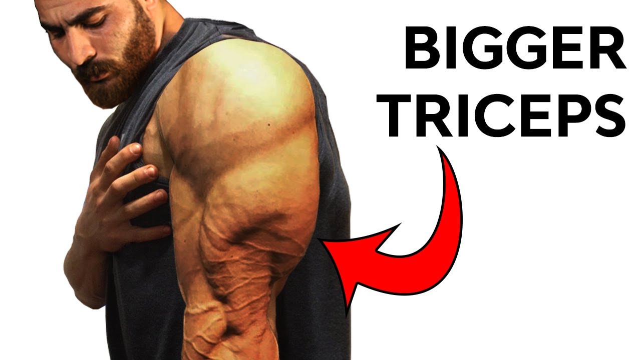 Triceps workout - This exercise will help you build your triceps - YouTube