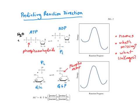 2 J Reaction direction I 201012 - YouTube