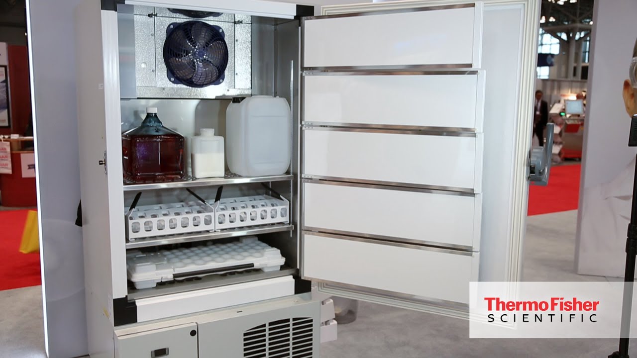 Blast Freezers offer Rapid Freezing of Critical Bioprocessing Samples ...