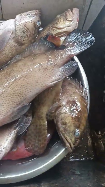 libre na ang pang ulam - YouTube