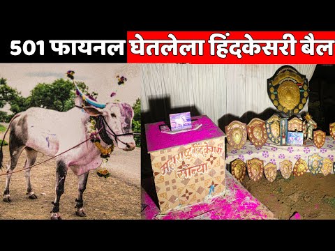 आठवणीतील कळंबीचा 'सोन्या'| Athavnitil kalambicha 'sonya' | hind kesari | हिंदकेसरी
