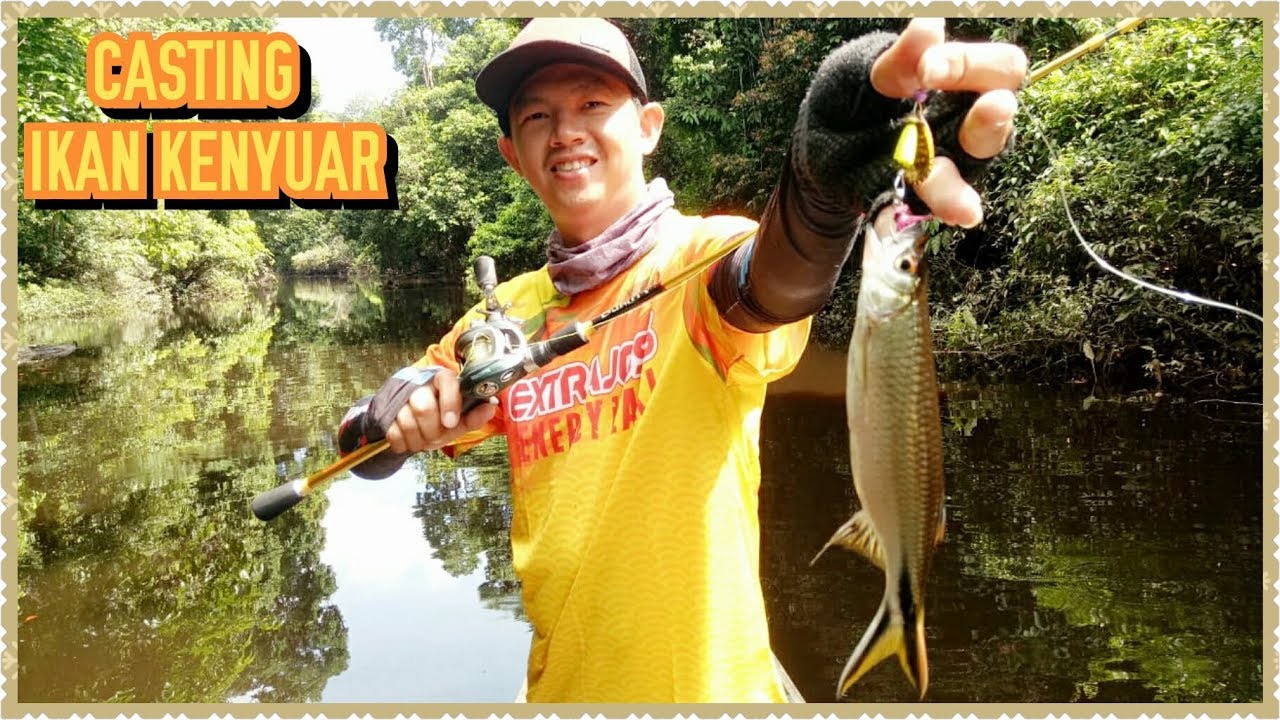 CASTING IKAN KENYUAR / APOLLO SHARK - with abu garcia droppen 8gr - YouTube