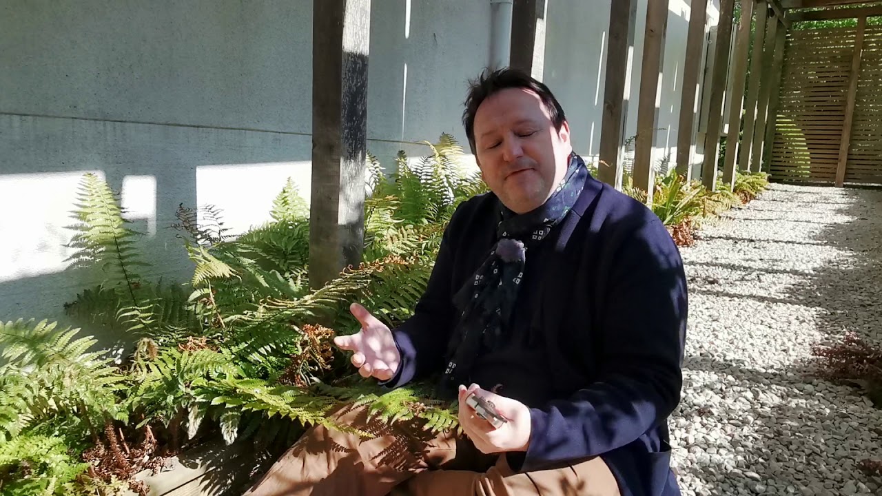 Mark Lane shows how to care for ferns - YouTube