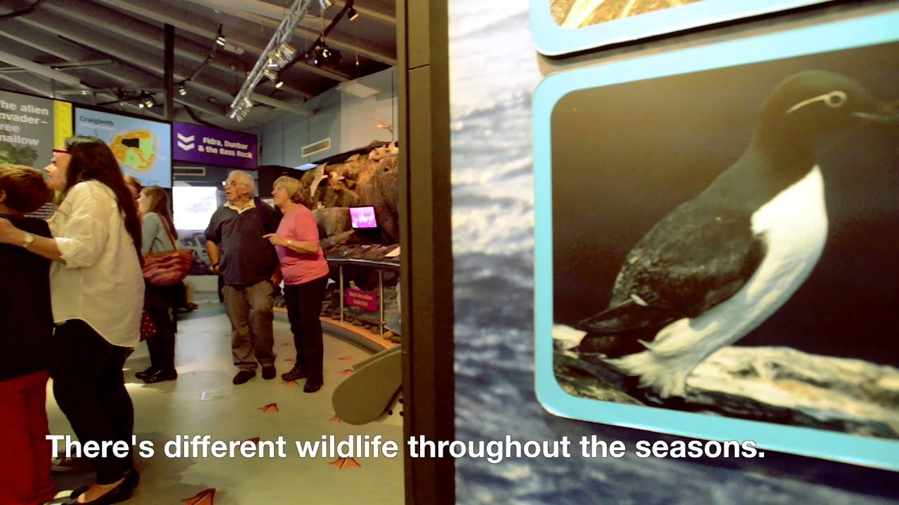 SEABIRD DISCOVERY - YouTube