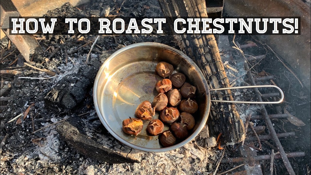 How to Roast Chestnuts Over an Open Fire - Tasty Tuesday Ep. 20 - YouTube