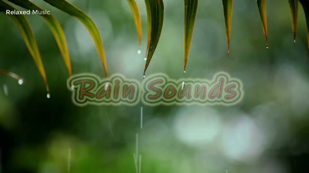 Rain sounds & Relaxing Sleep Music with Rain Sounds - Piano Music ...