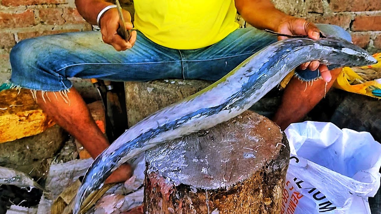 Amazing Biggest Seer Fish Cutting Skills By Expert Fish Cutter - YouTube