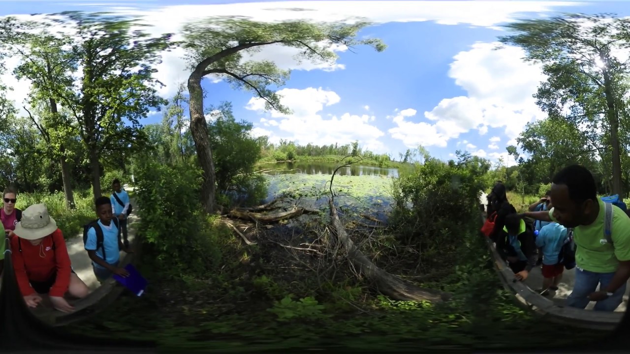 Camp: Frog and Bird Watching 360 - YouTube