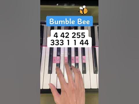 Bumble Bee (Piano Tutorial) #TikTok - YouTube