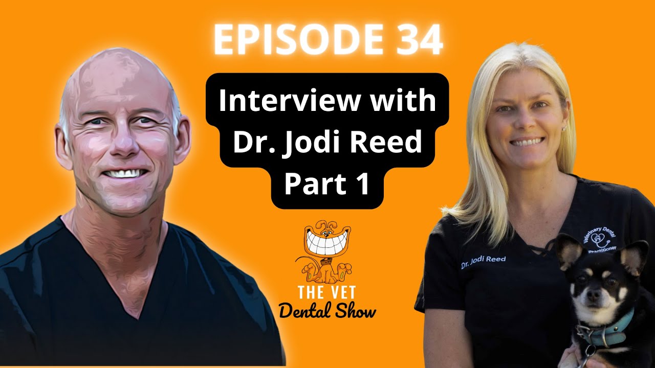 Ep 34 Interview with Dr. Jodi Reed, DVM, Veterinary Dental Practitioner ...