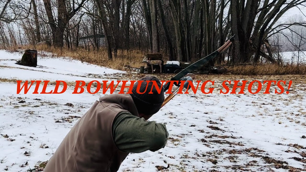 Recreating LEGENDARY hunting shots with a RECURVE | Traditional Archery ...