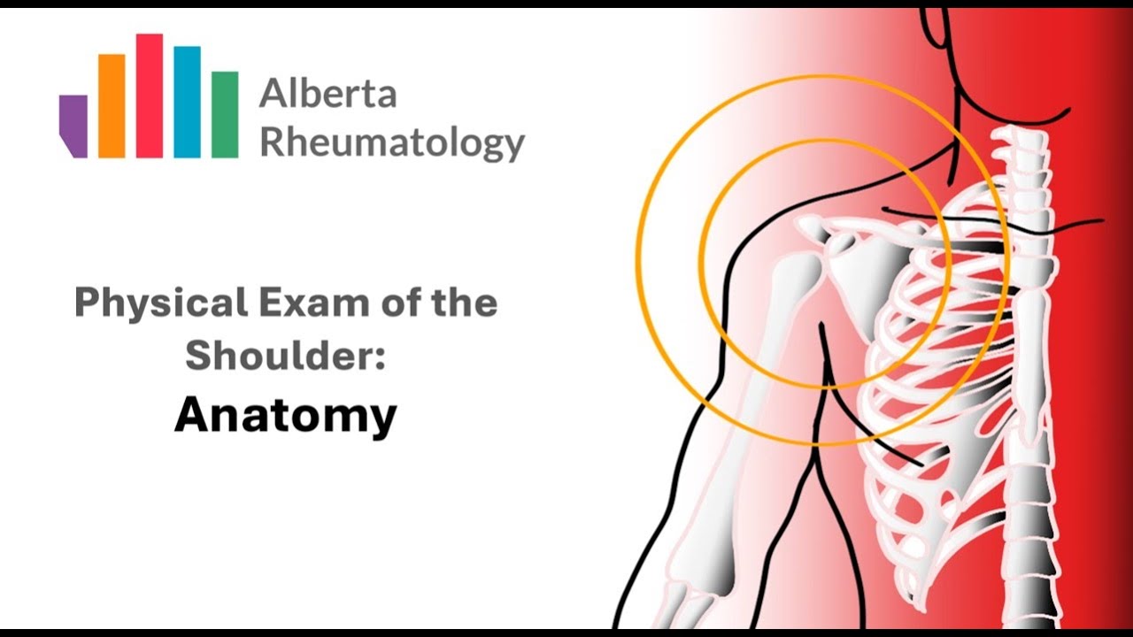 Rheumatology Shoulder Physical Exam Part 1: Anatomy - YouTube