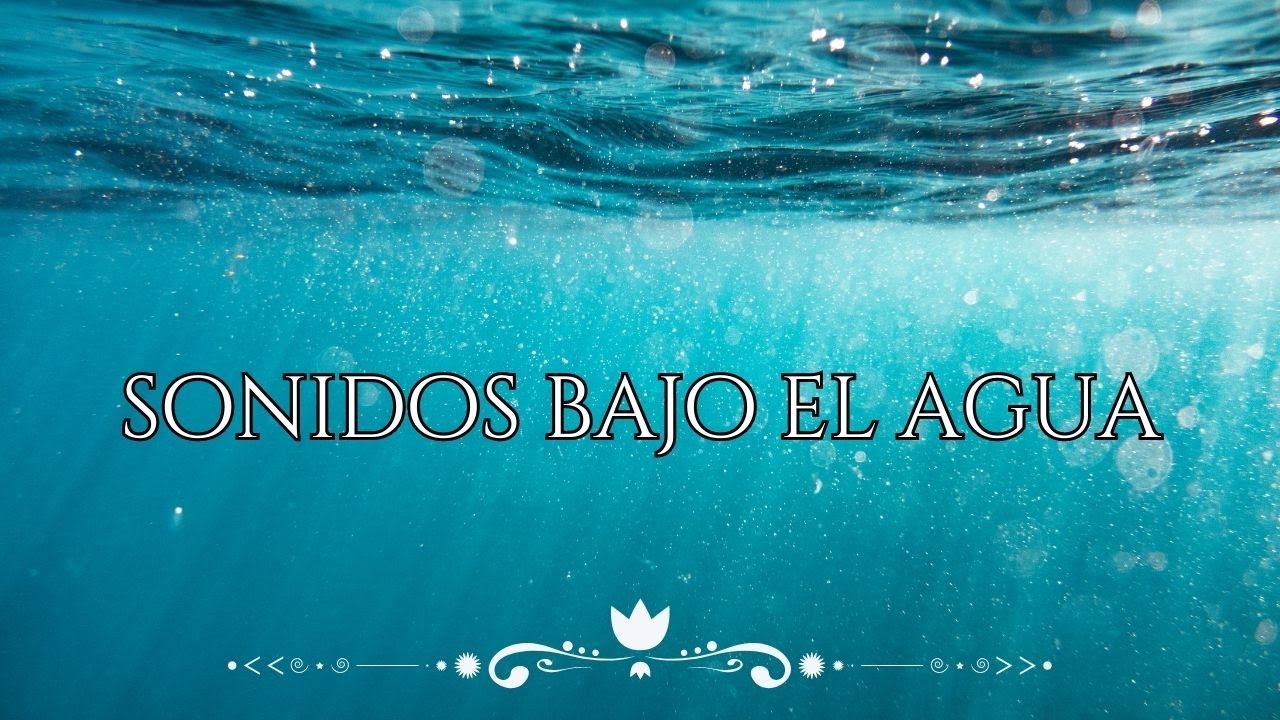 Música ambiental profunda submarina | Música relajante bajo el mar te ...