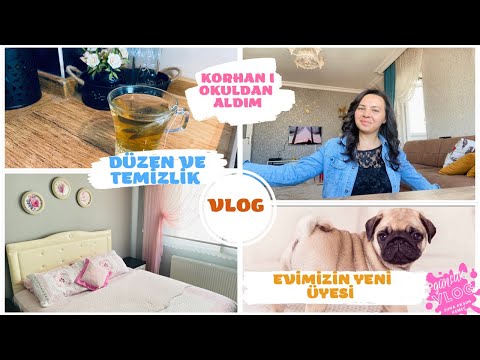 VLOG/AŞIRI DAĞINIK EVİMİ DÜZENLİYORUM/TEMİZLİK-DÜZEN VİDEOLAR/MUTFAK TEMİZLİĞİ/YATAK ODASI DÜZENLEME