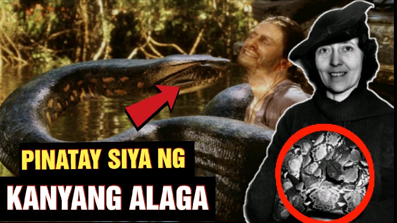 ANG BABAENG NAG ALAGA NG MGA AHAS | KAALAMAN | KMJS | CLARK TV FACTS ...