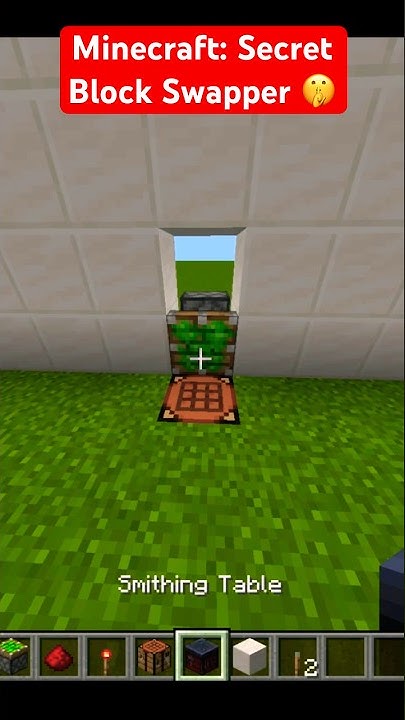Minecraft: Secret Block Swapper 🤫 #shorts - YouTube