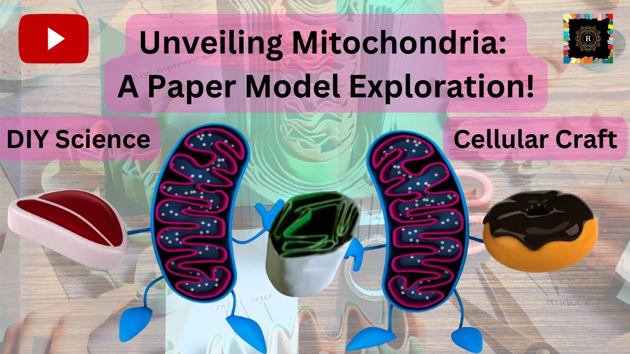 Paper Powerhouse: DIY Model of Mitochondrial Structure! - YouTube