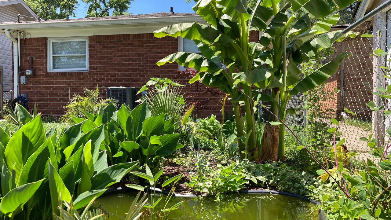 End of Spring; Beginning of Summer 2023 - YouTube