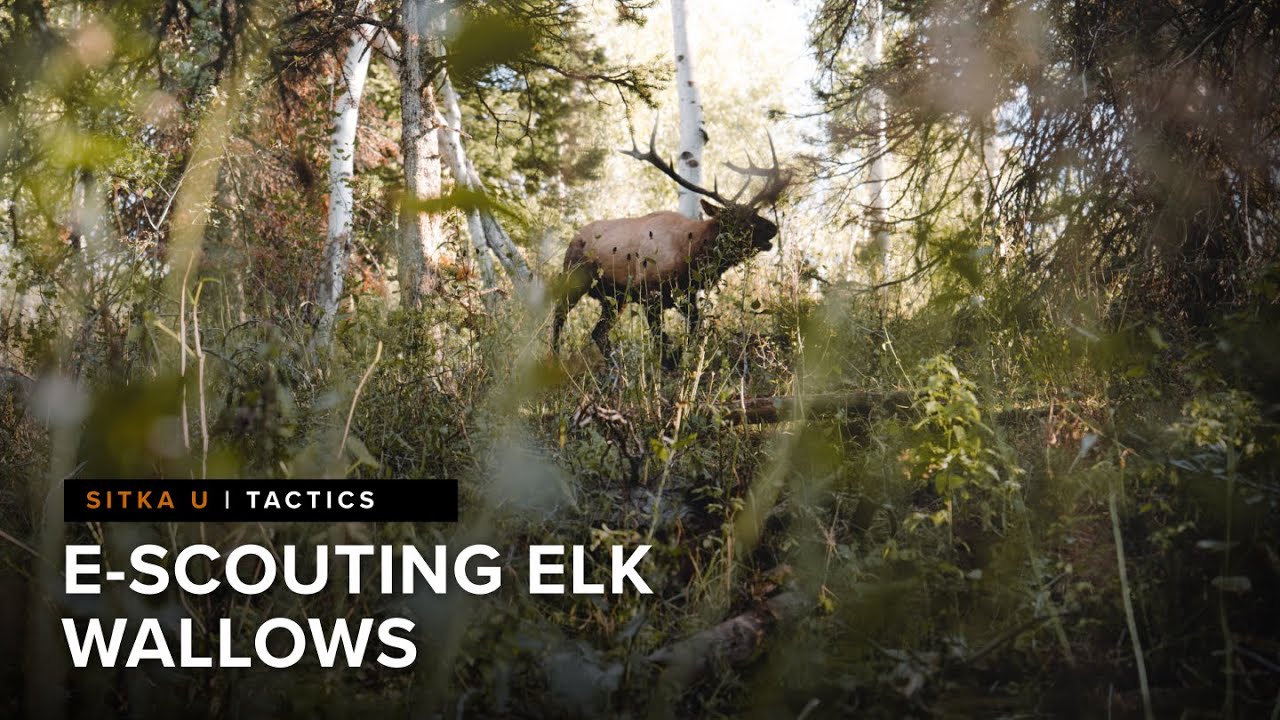 How to locate elk hunting hot spots with Josh Boyd - YouTube