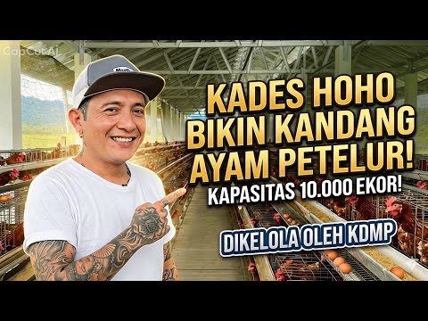 BUKAN MAIN‼️Begini Megahnya Kandang Ayam Petelur Kapasitas 10.000 Ekor Yang Dibangun Kades Hoho‼️