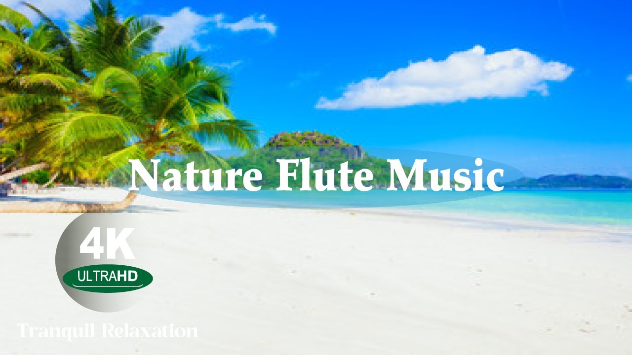 Flying Over Tropical Paradise 4K Ultra HD Video | Ambient Flute Music ...