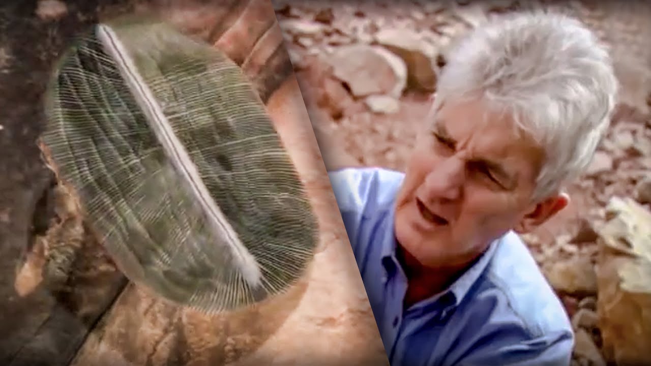 The World's Most Rare and Ancient Fossils | BBC Earth - YouTube