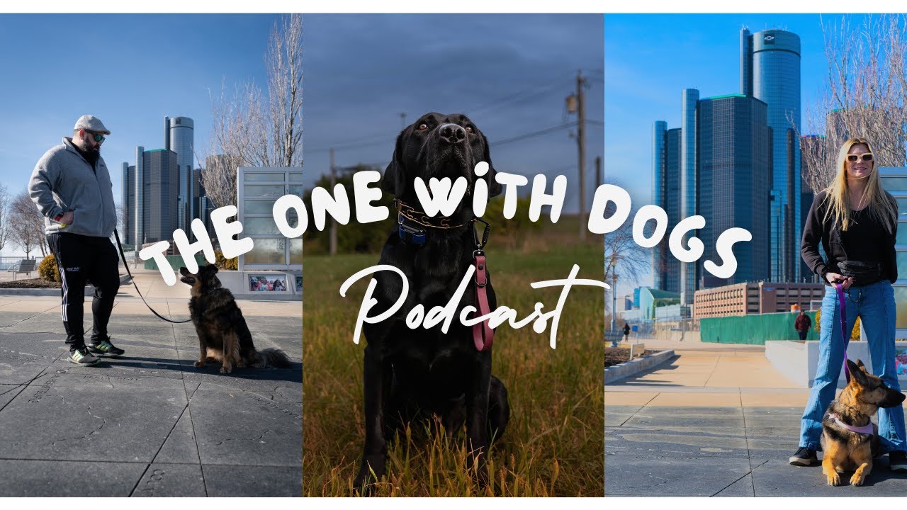 The One With Dogs Podcast - Welcome! - YouTube