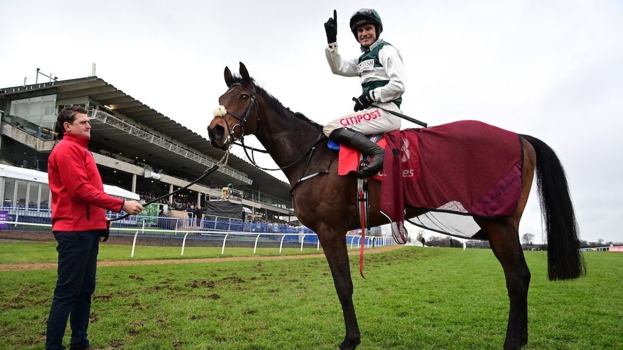 SOLNESS slams Leopardstown rivals in Dublin Chase - YouTube