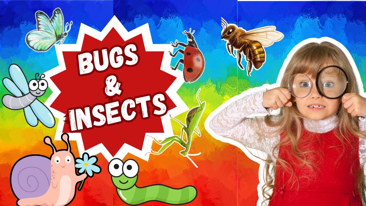 "Bug Adventures: learn about amazing bugs and insects - YouTube