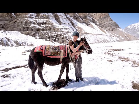Traditional Horse Herding in Pin Valley/Spiti | Story of Todnam - 5/6 ...