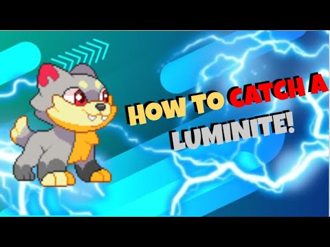 How to Catch a LUMINITE in Prodigy! - YouTube