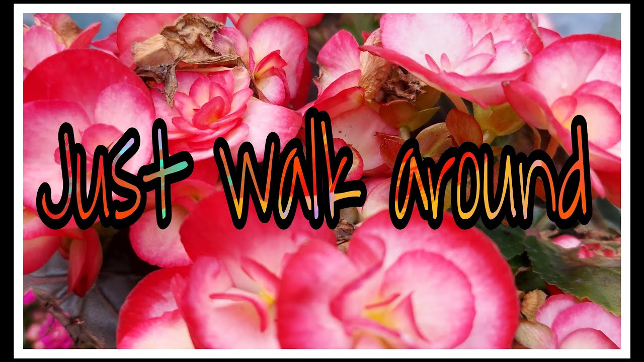 Just walk around - YouTube