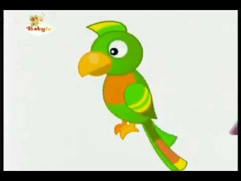 kolory i kształty babytv buty polska 