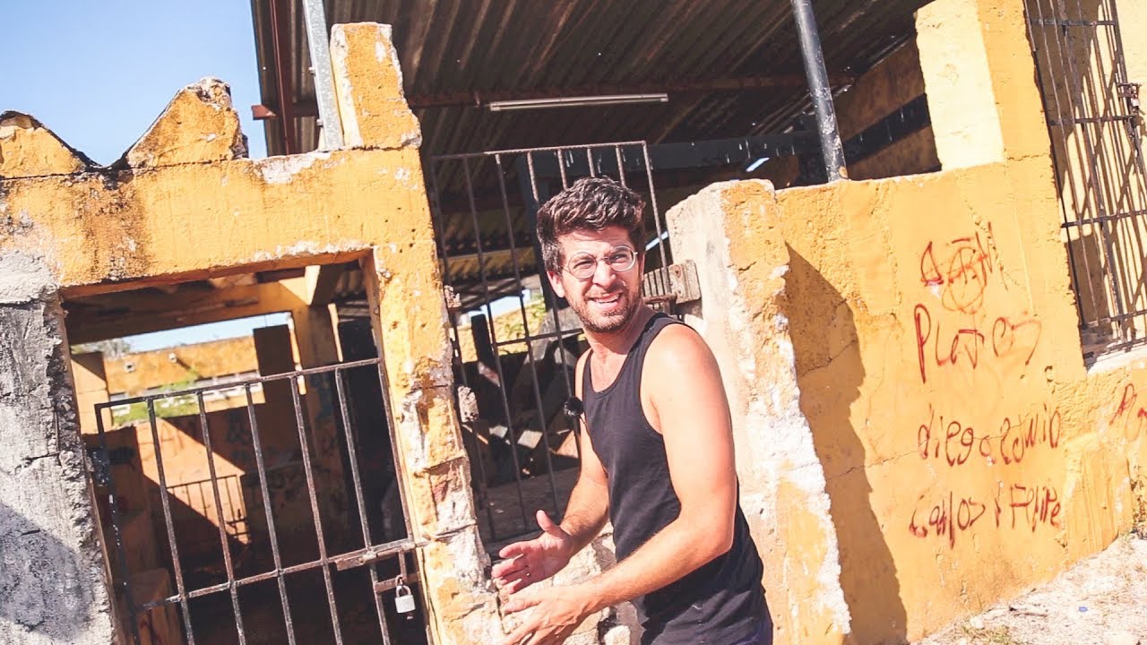 Vegan Goes Undercover in Mexican Slaughterhouse - YouTube