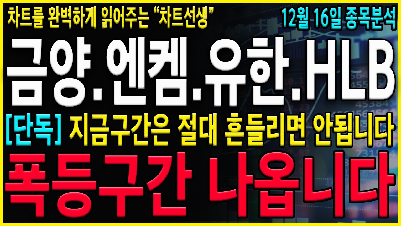 금양 엔켐 유한양행 Hlb 주가 전망 긴급 와결국 이 가격까지는 올라가겠네요 세력들의 확실한 전략 지금부터
