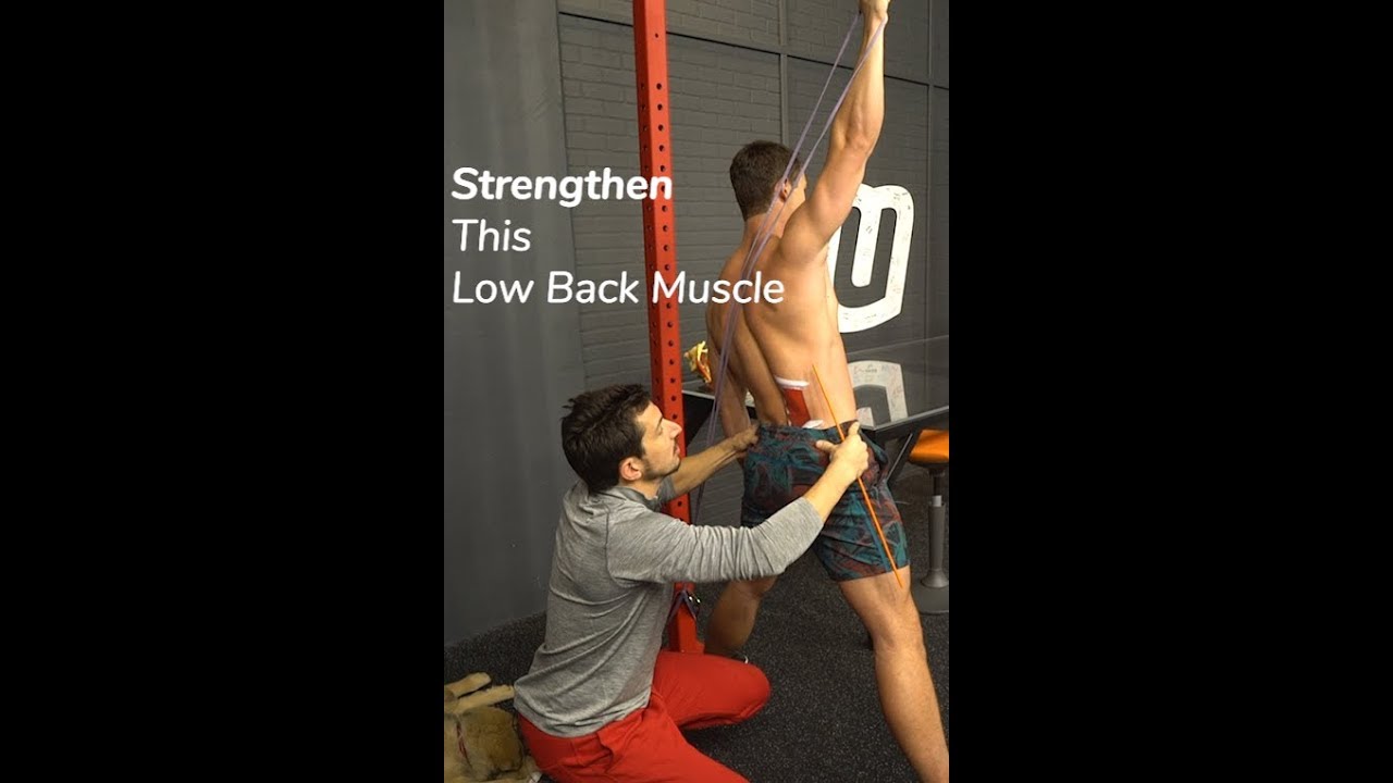 Strengthen This Low Back Muscle to Alleviate Pain - QL Exercise -MoveU ...