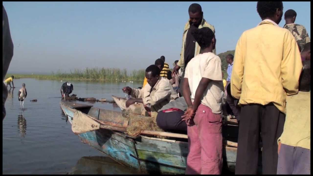Ethiopia: Birds, Ziway and Awassa Fish Market - YouTube