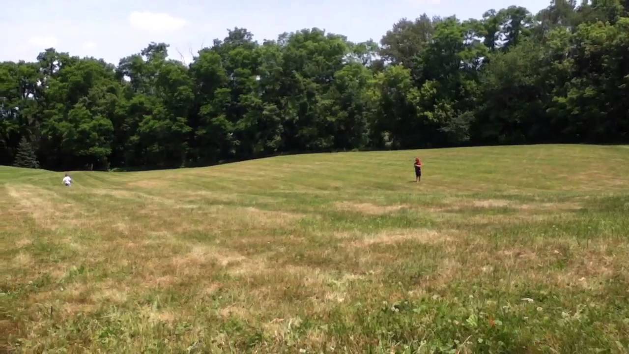 Human target practice - YouTube