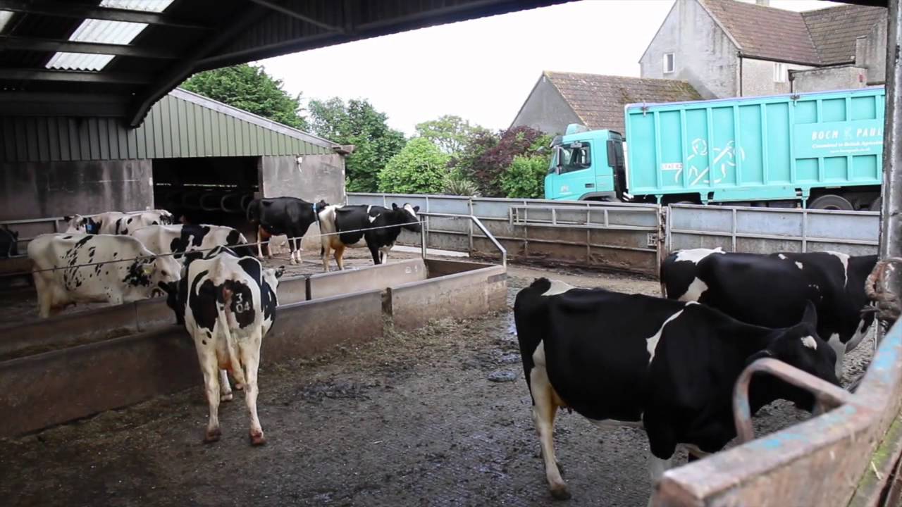 Interview: Peter Alvis of Lye Cross Farm cheese - YouTube