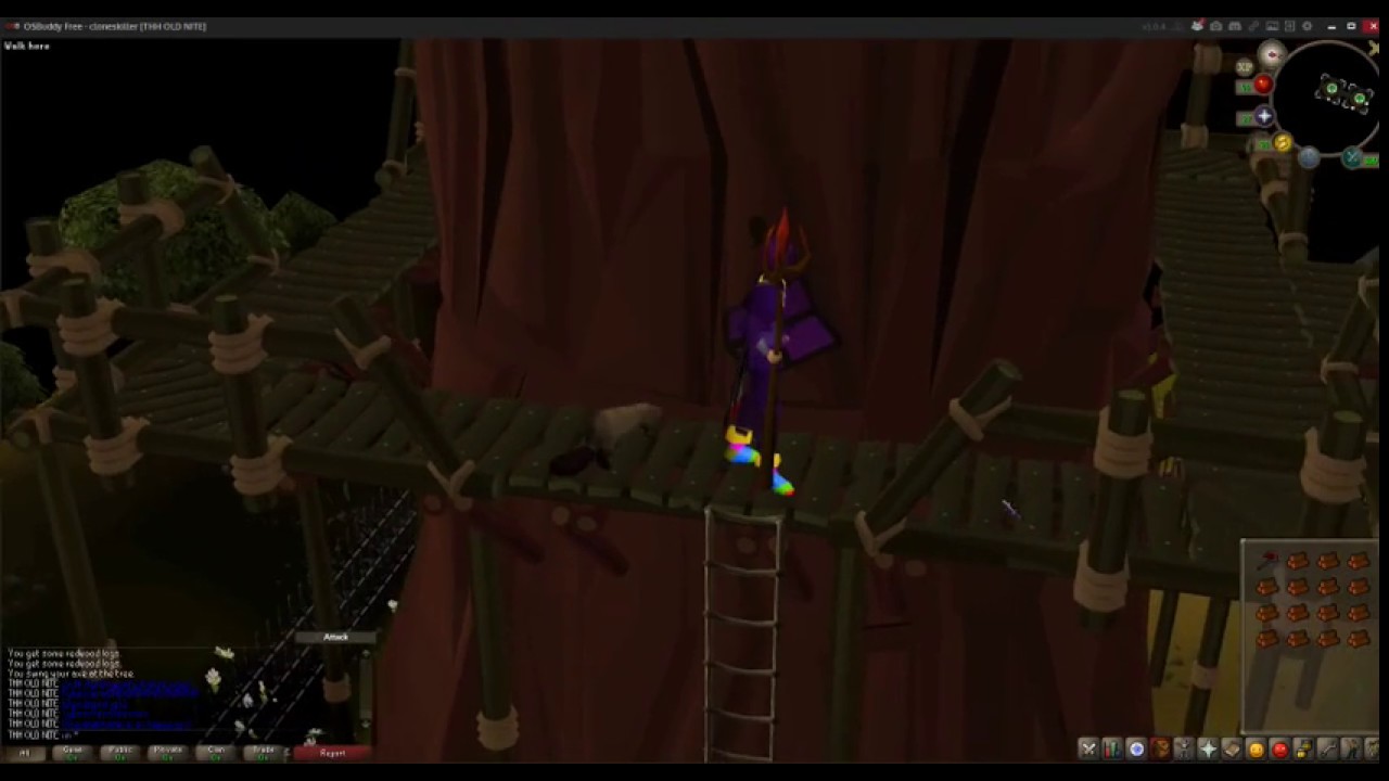 OSRS GOT THE BEAVER PET!!!!!!! - YouTube