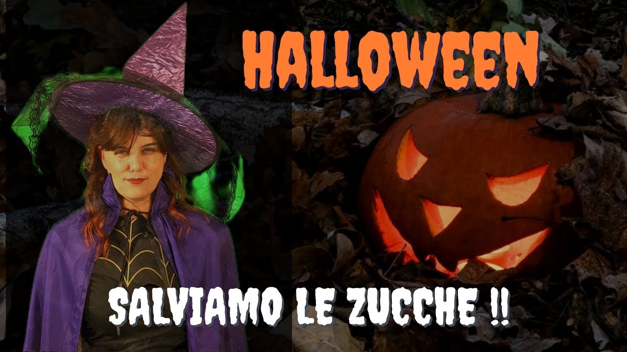Halloween: Salviamo le Zucche ! - YouTube