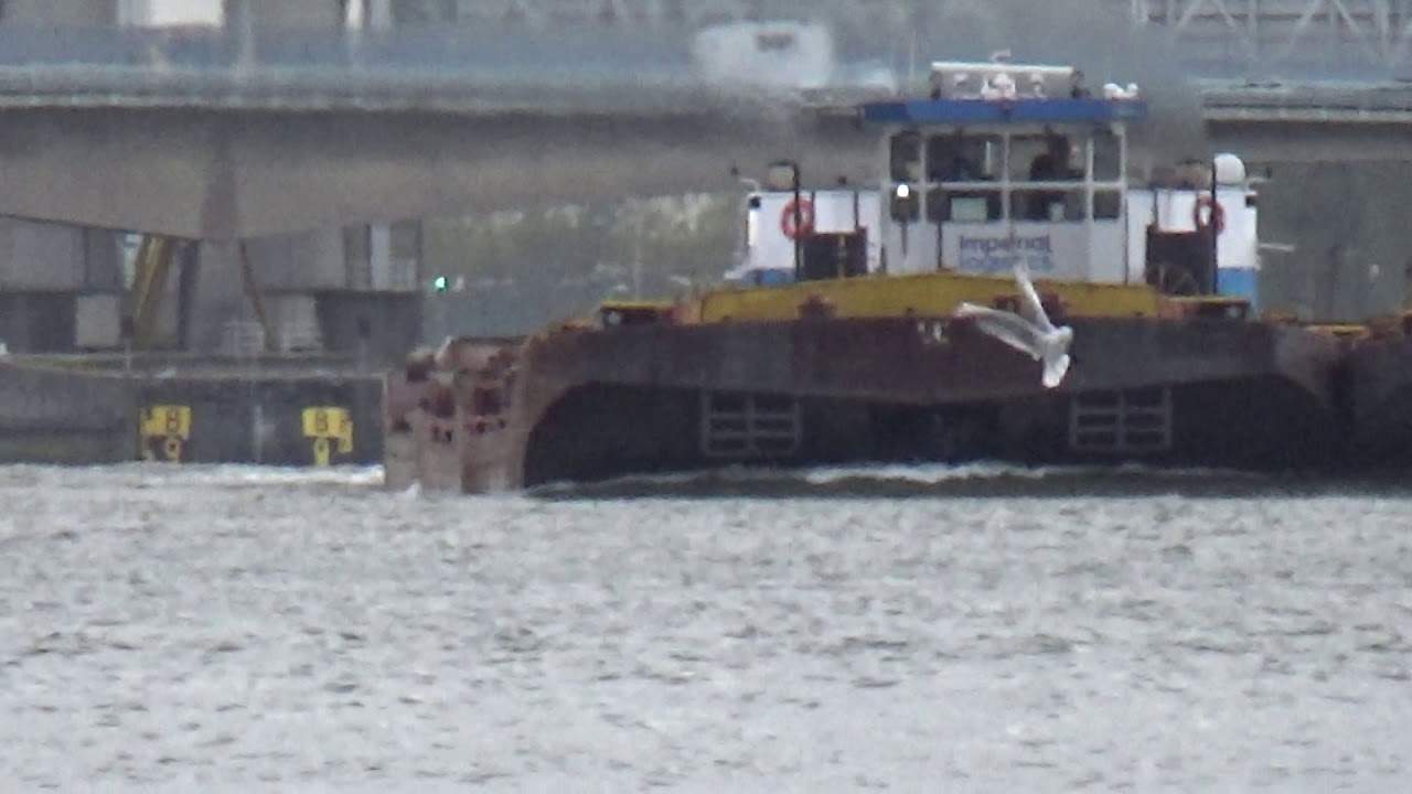 HERKULES VIII Inland, Pushtow, six cargo barges - YouTube