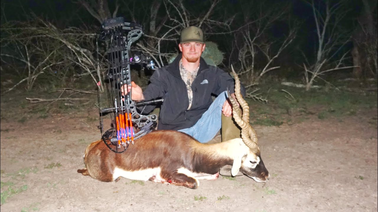 Blackbuck Antelope Meat