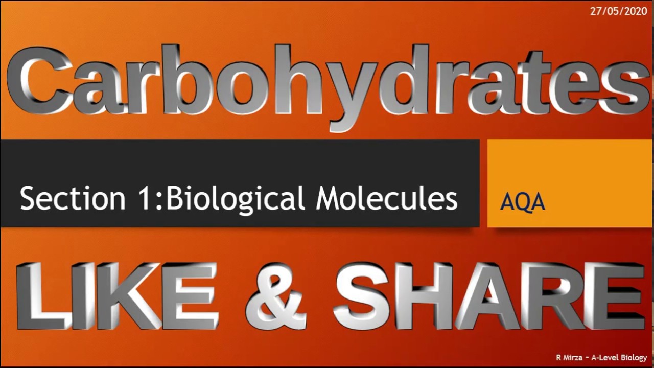 Carbohydrates [Section 1 - Biological molecules A-level biology] - YouTube